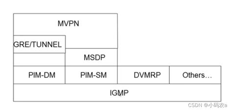Ip组播协议——igmp协议之igmpv1dvmrp报文格式小码农a的博客 Csdn博客