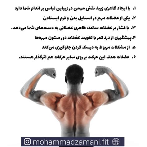 نشر خم دمبل نشسته فیلم آموزشی نحوه‌‎ی اجرا نکات تمرینی آکادمی محمد