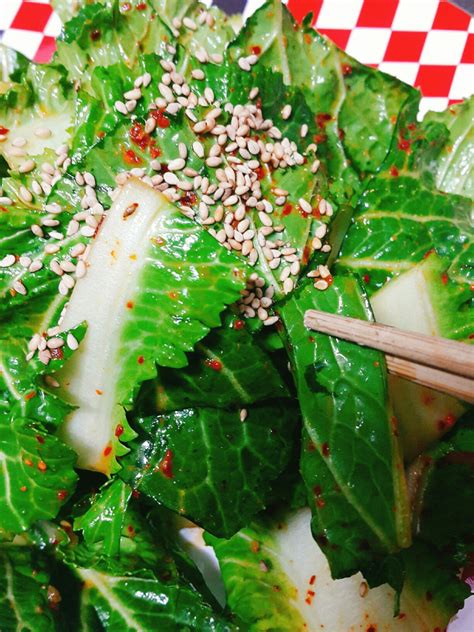 쉬운밑반찬 봄동겉절이 무침