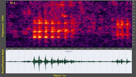 Recording 1 Spectrogram And Time Display Of Part R1 5 Time Scale 0 1 Download Scientific