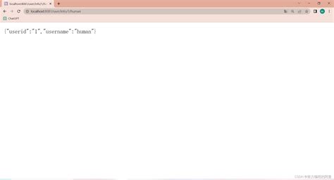 golang中gin框架学习记录——（三） go gin function context ntext 学习 csdn博客