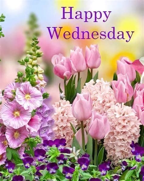 Happy Wednesday Morning Greetings With Flowers Pink Flowers With