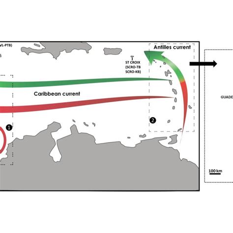 Sampled Sites Across The Caribbean Sea With Schematic Pattern Of The