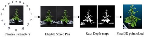 3d Reconstruction Framework Download Scientific Diagram