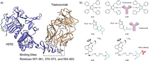 A The Crystal Structure Of The Extracellular Domain Of Her2 Blue Download Scientific