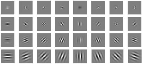 The Gabor Filters With Different Lengths Sizes And Measurable Points Download Scientific Diagram