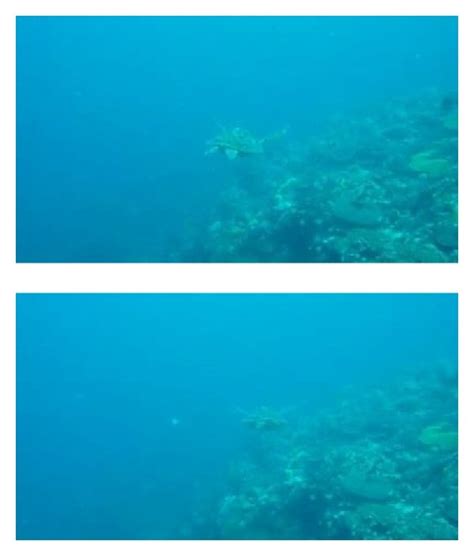 Results Of Distant Moving Object Detection A Original Images B