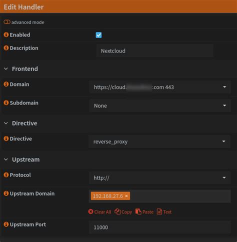 Aio Docker Cant Connect To Itself With Caddy Reverse Proxy On Opnsense