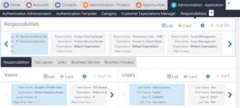 First Encounter With Auto Tile Visualization The Siebel Hub