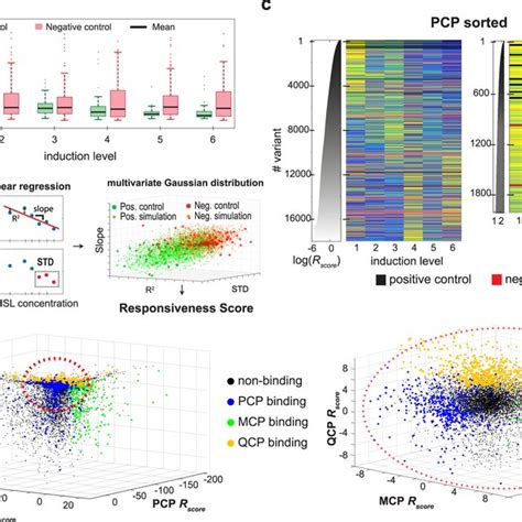 Analysis Of Mcp Pcp And Qcp Rna Binding Sequence Preferences A Scheme Download Scientific