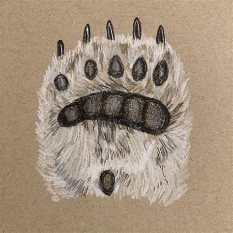 How To Draw A Polar Bear Paw