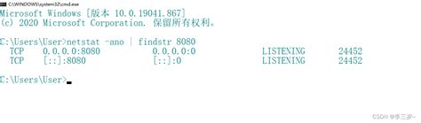 端口号被占用解决办法（超详细） dbt 06103 csdn博客