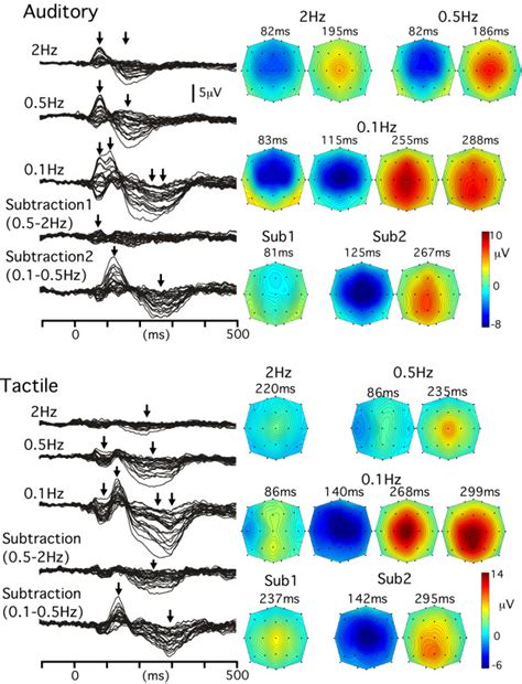 Grand Averaged Waveforms And Topographies Of Auditory And Download Scientific Diagram