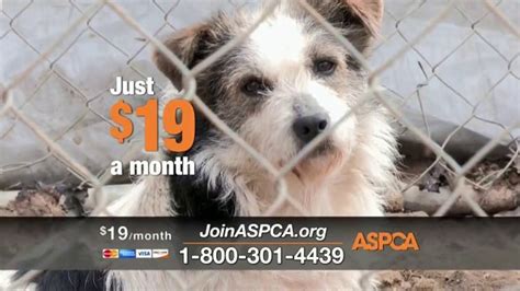 Aspca Tv Commercial Winter Help Ispottv