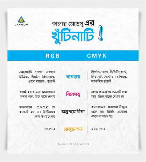 Infographic Design About Adobe File Formats On Behance