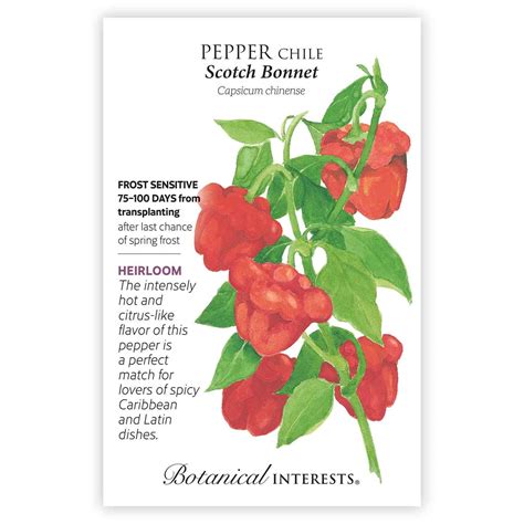 Scotch Bonnet Chile Pepper Seeds Botanical Interests