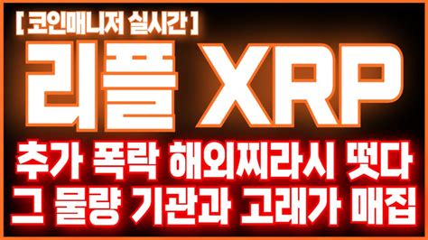 리플xrp 긴급 추가 폭락 해외찌라시 떳다 그 물량 기관과 고래가 매집 포켓네트워크 라이브피어 비트코인 코인뉴스 긴급 속보 리플 Xrp 코인거래소 코인매니저