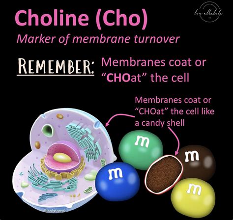 1 Tired Of Always Speculating About Mr Spectroscopy If Youve Ever