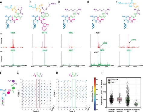 Highly Pure Dna Encoded Chemical Libraries By Dual Linker Solid Phase Synthesis Science