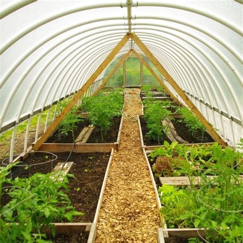 Парник или теплица: в чём отличия и как выбрать - Азбука садовода