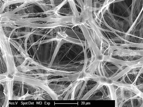High Efficiency Air Filtration The Growing Impact Of Membranes