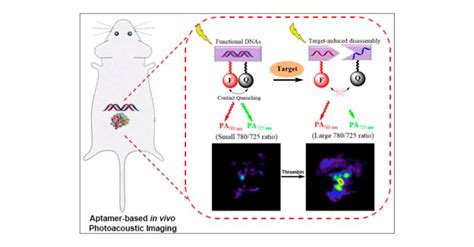 Photoacoustic Dna Shukun Yang