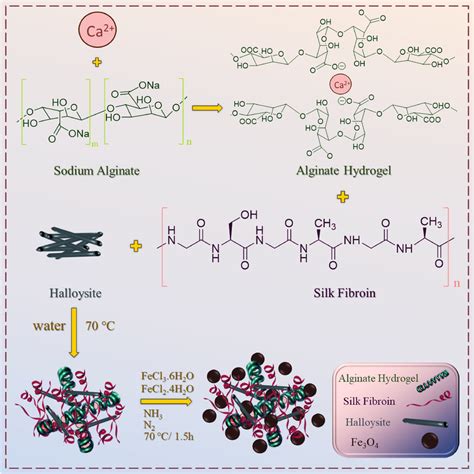 synthesis of sa sf hnts fe3o4 bionanocomposite scaffold download