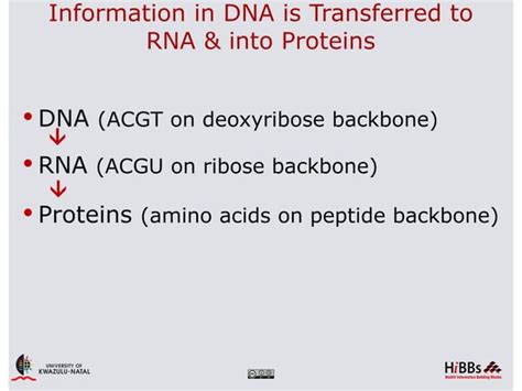 introduction to bioinformatics slides ppt