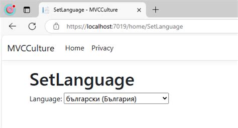C How Can I Add Manual Localization To My Net Core Mvc App Stack
