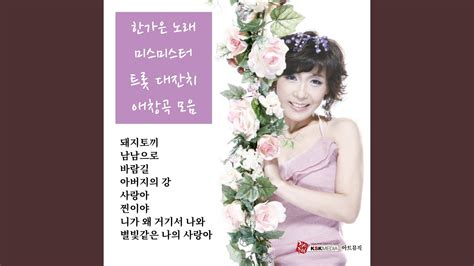 돼지토끼 Youtube