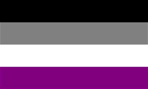 ace flag asexuality archive