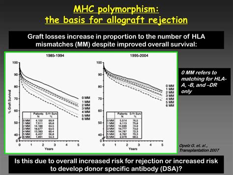 Ppt Structurally Based Hla Matching A Useful Tool To Fill The Gaps In Current Hla Matching