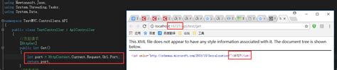 webapi 可以获取启动时的端口号吗 csdn社区