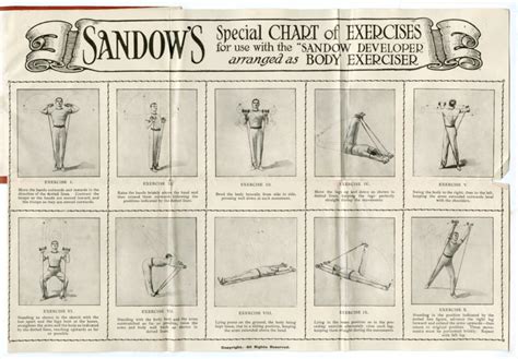 Sandows Special Chart Of Exercises For Body Exerciser Rogue Usa