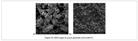 Developing Drugs Sem Images