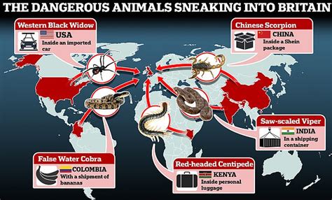 Terrifying Map Reveals How Dangerous Animals Are Sneaking Into Britain