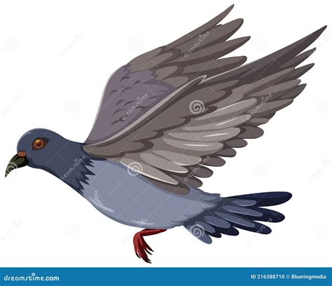 P Jaro Paloma Volando Dibujos Animados Aislado Sobre Fondo Blanco Stock