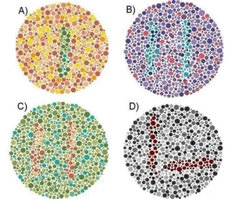 What Is Yalls Opinion On This R Colorblind