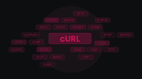 Curl Proxy What Is A Curl Proxy
