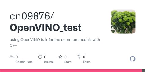 Github Cn09876openvinotest Using Openvino To Infer The Common