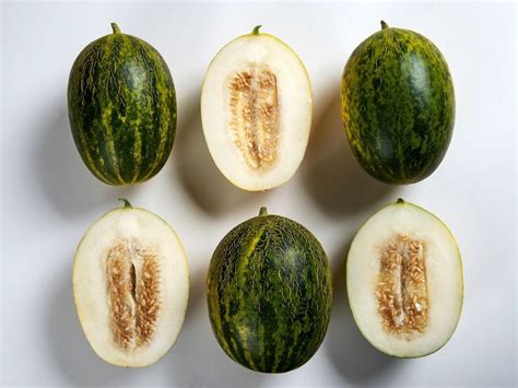 봄에 만나는 멜론 달달하고 시원한 과즙이 팡 파파야멜론 텀블벅 크리에이터를 위한 크라우드펀딩