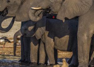 How To Remove Shadows From A Photo In Photoshop PhotoshopCAFE