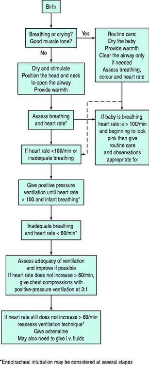 Paediatric Cardiopulmonary Resuscitation Anesthesia Key