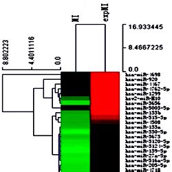 Hierarchical Clustering Of MiRNAs Deregulation