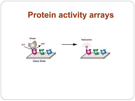 Protein Microarrays PPTX