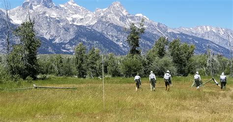 Top Reasons To Choose A Conservation Career American Conservation Experience