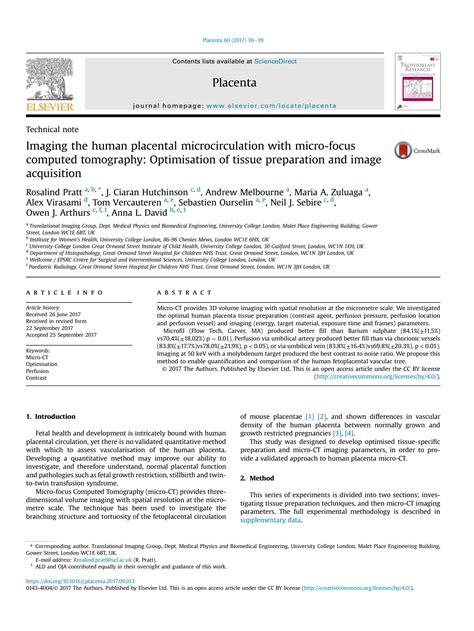 Solution Imaging The Human Placental Microcirculation With Micro Focus