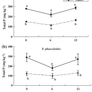 Dynamics Of Total Soil Cm P Concentration In Soil Under Legume Download Scientific