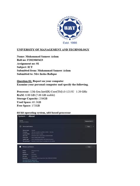 Ict Assignment Pdf Laptop Computer Hardware
