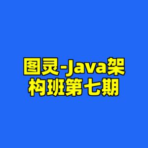图灵 Java架构班第七期